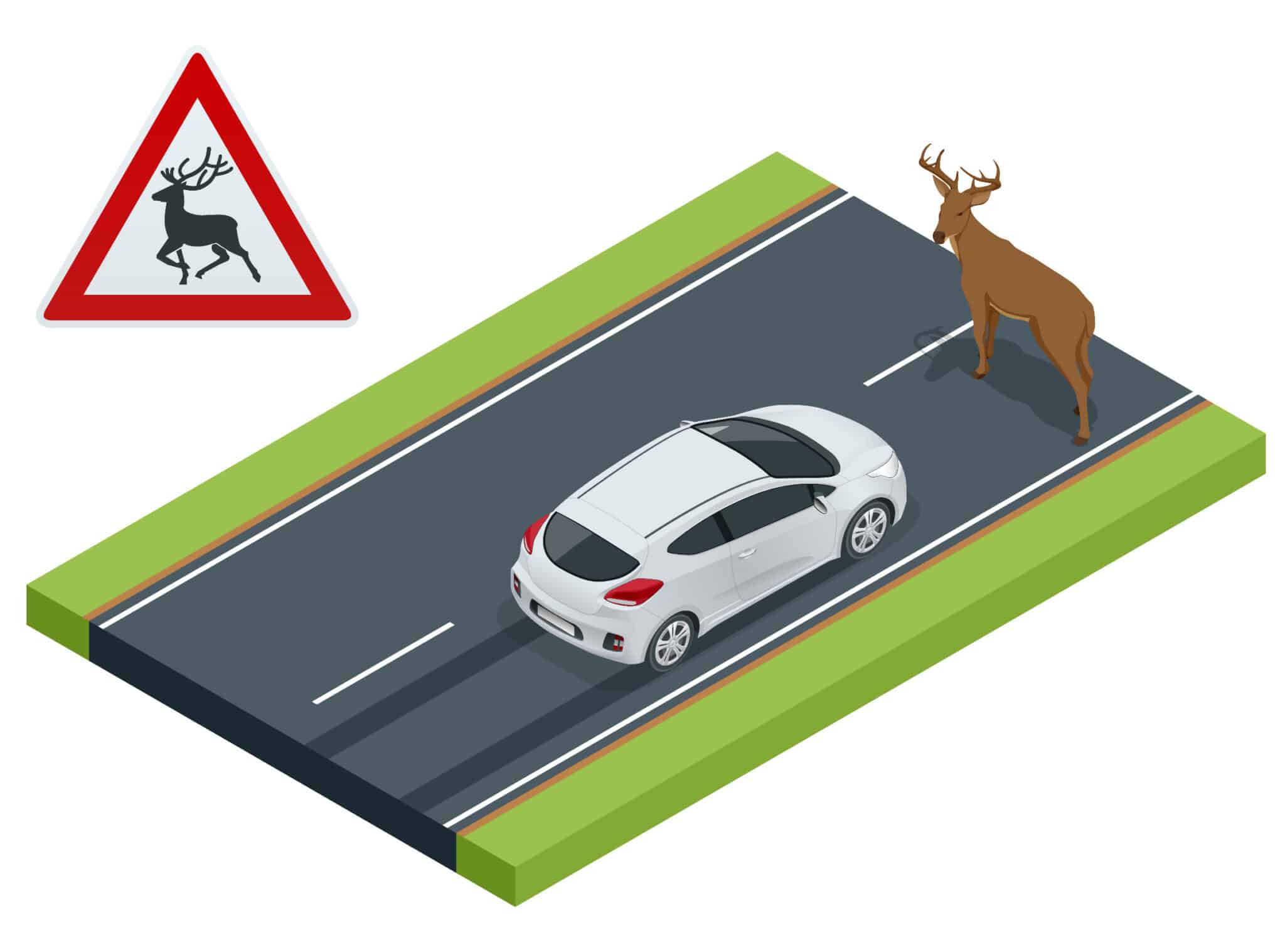 Do I Need To Call The Police If I Hit a Deer in Michigan? - The Clark ...